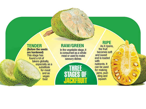 Jackfruit: Kerala jackfruit: Jack of all traits | Kochi News - Times of India
