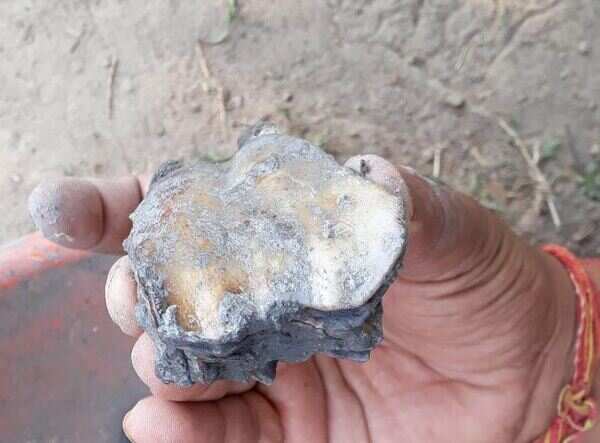 Archaeological Survey Of India Bhubaneswar Branch: ASI unearths ...