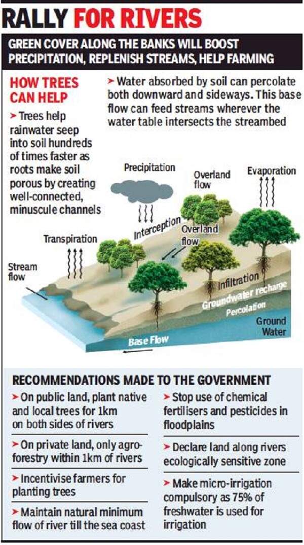River revival enters key phase in Maharashtra, Karnataka | India News ...