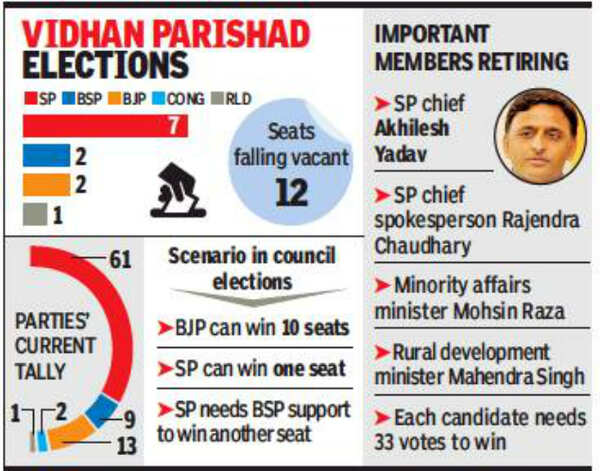 SP-BSP pact faces acid test in council polls | Lucknow News - Times of ...