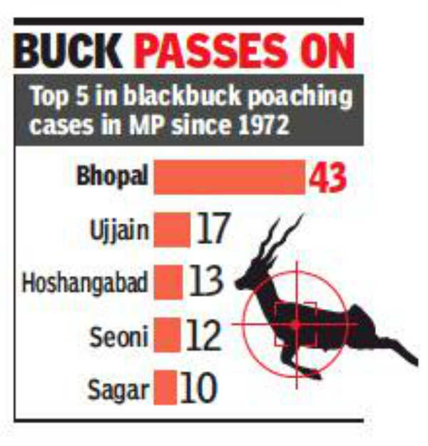 Blackbuck Poaching Cases: Blackbuck poaching cases in MP crawling since ...