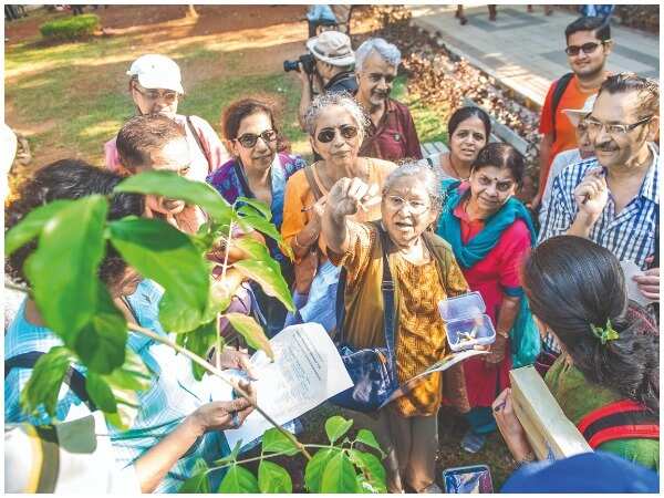 Mumbai Tree Appreciation Walks: These tree chroniclers help Mumbaikars ...