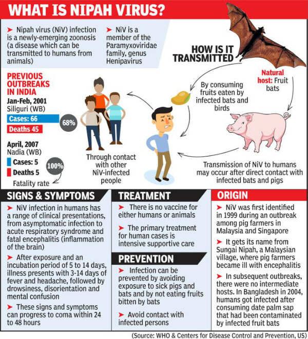 Nipah Virus In Kerala: Steps taken to contain Nipah virus, assures ... Nipah Virus In Kerala: Steps taken to contain Nipah virus, assures ...