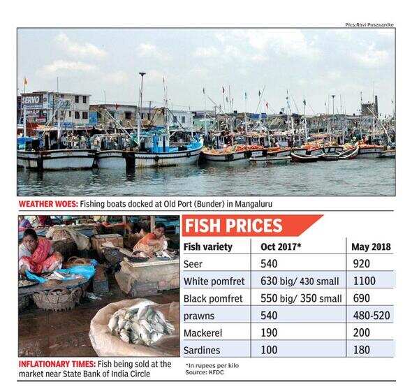 Inclement weather sees fish prices go north | Mangaluru News - Times of ...