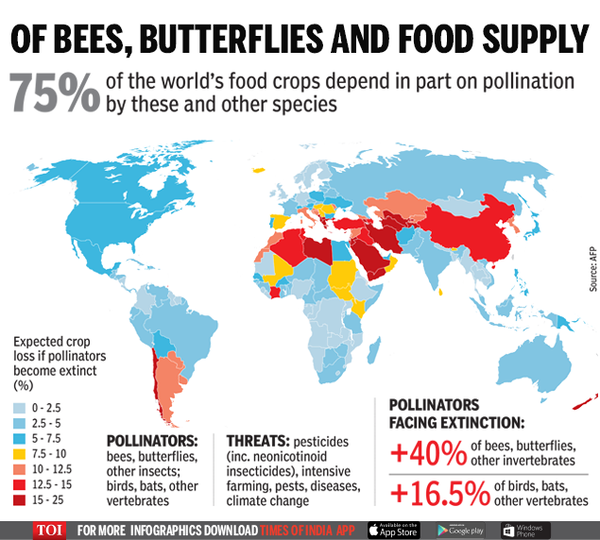 Infographic: Why we may starve without bees and butterflies - Times of ...
