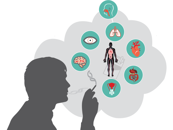 The perils of tobacco: How it impacts vital organs | India News - Times ...