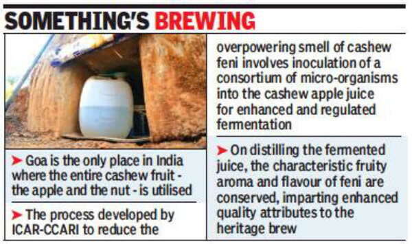 Odourless Feni: Formula for odourless feni pegged at Rs 1 Lakh | Goa ...