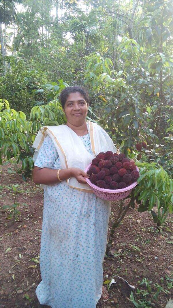 Valley Of Fruits: Anish, Manish and their valley of fruits | Kochi News ...