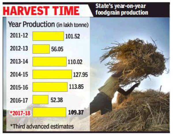 Tamil Nadu foodgrain production to stagnate at 110 lakh tonnes ...