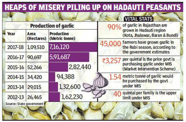 Garlic: Garlic glut, price crash weave ‘death trap’ for farmers ...