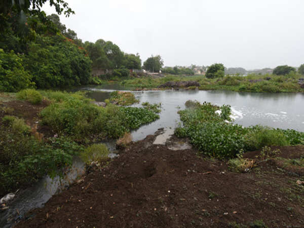 Mula River: Pune: Polluted Mula water a cause for concern | Pune News ...