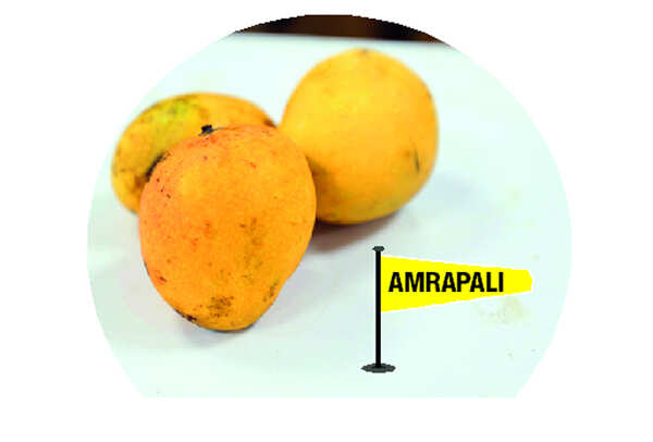 Neelam from Andhra, Amrapali from Bengal, Fazli from UP: Delhiites ...