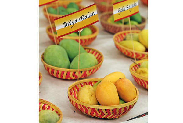 Salmani, Taimuriya draw a huge crowd at Delhi’s mango festival | Events ...