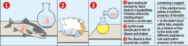 Cancer- Causing Chemical: Tests confirm no formalin in Chennai fish ...