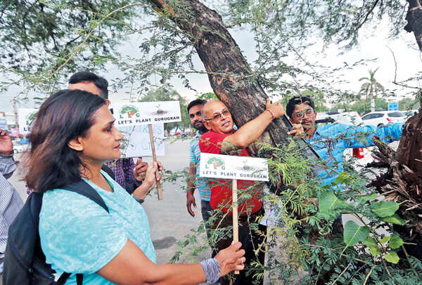 After Delhi, Gurgaon comes together to embrace trees | Gurgaon News ...