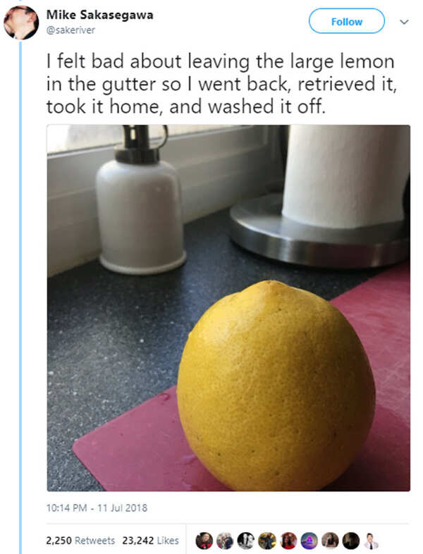 This lemon went viral for taking a 'stroll' down the street - Times of ...