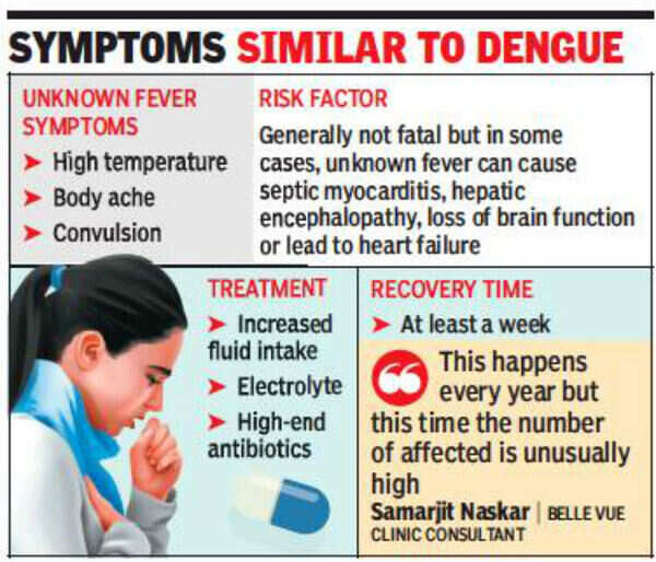 Unknown fever stalks Kolkata in dengue season | Kolkata News - Times of ...