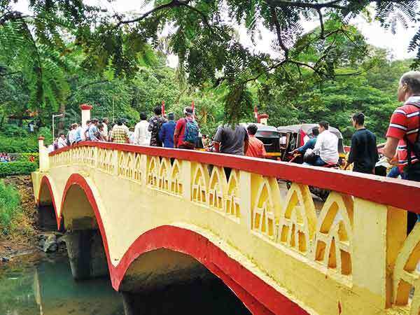 Mumbai folks go on first photo walk at Aarey for World Tribal Day ...