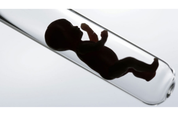 8 million IVF babies and counting: a look at 40 years of IVF - Times of ...