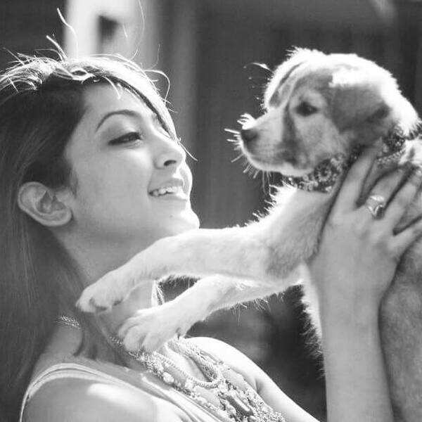 National Dog Day: Sandalwood's favorites buddies are dogs | Kannada ...