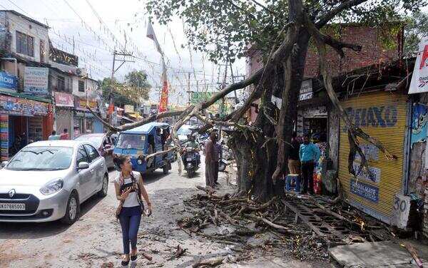 Trees falling on power lines leading to long outages: Locals | Dehradun ...