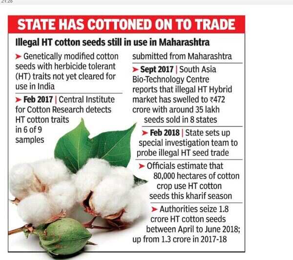 80,000Ha of cotton crop using illegal HT seeds: Agri officials | Mumbai ...