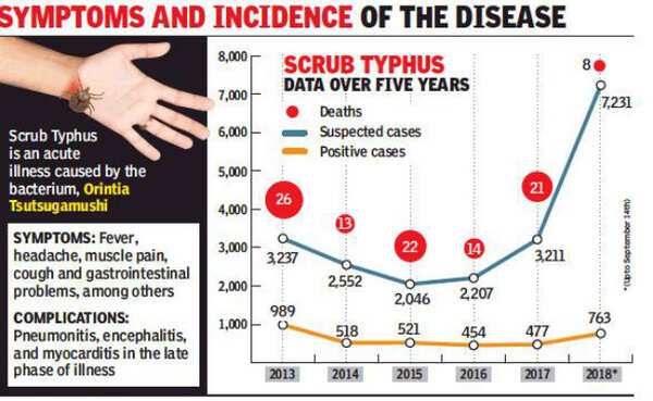 Eight die of Scrub Typhus, 15 positive cases reported in Himachal ...