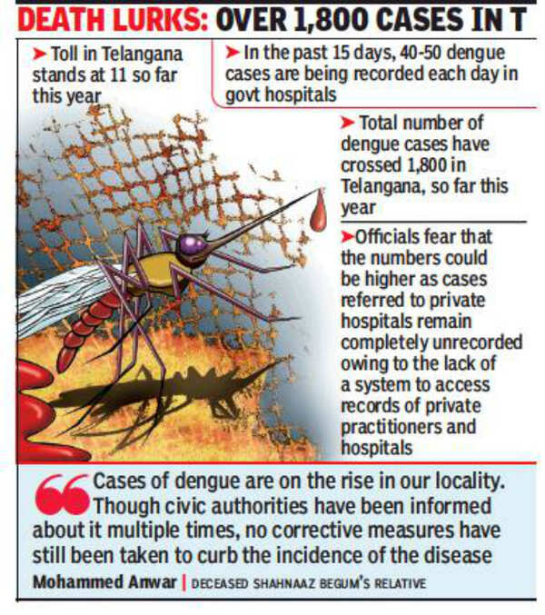 Dengue sting claims second victim in Hyderabad, but hygiene sinks ...