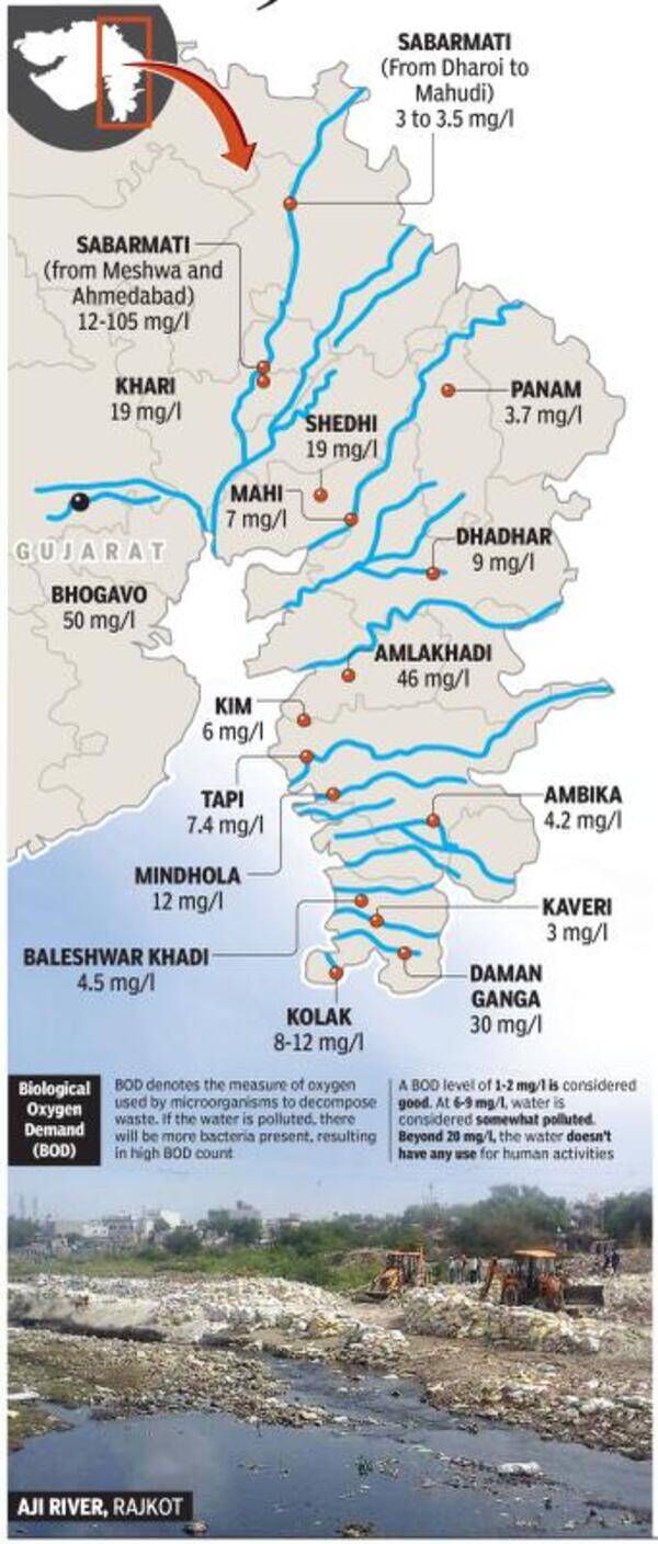 Sewage streams make gujarat cry a river | Ahmedabad News - Times of India