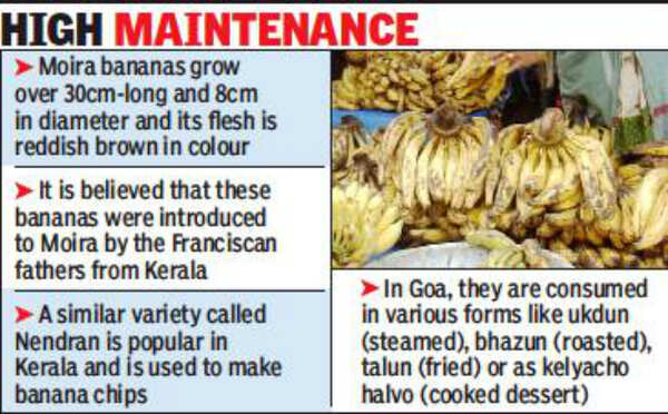 Ryots Give Labour-Intensive Moira: Ryots give labour-intensive Moira ...