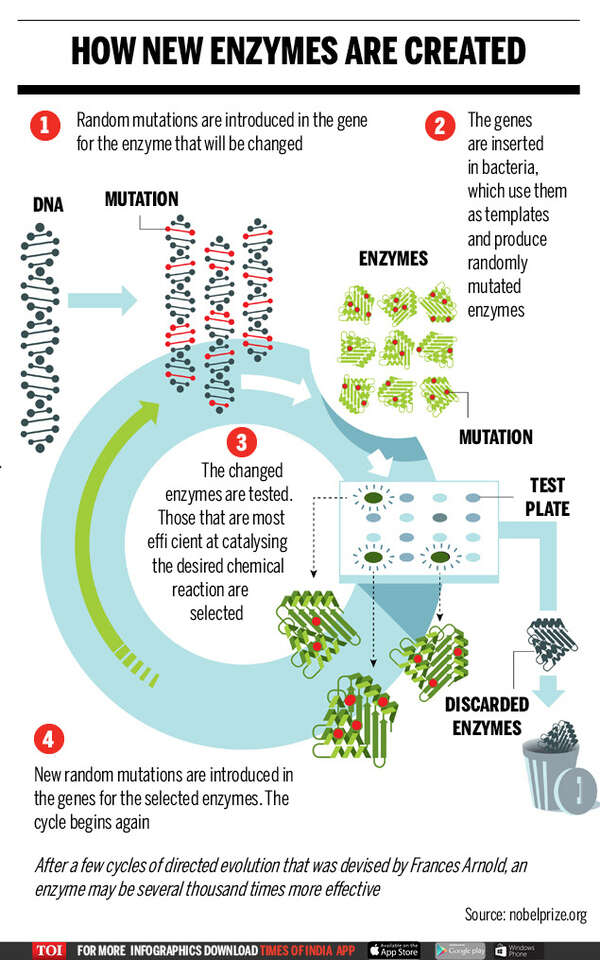 Chemistry Nobel winners used evolution to script a revolution - Times ...