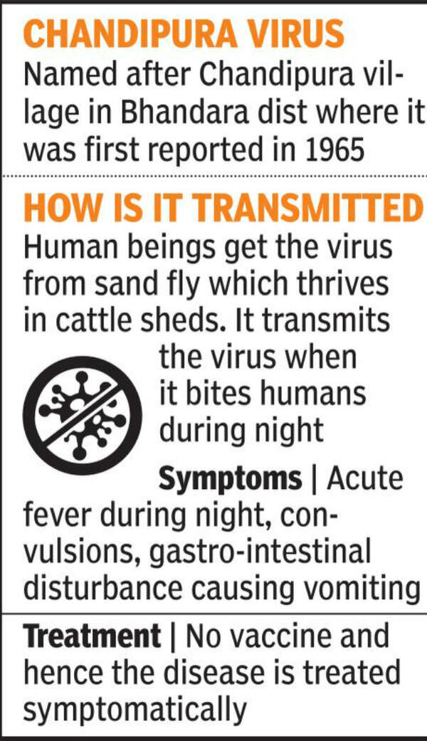 Six test positive for Chandipura virus in Gadchiroli | Nagpur News ...