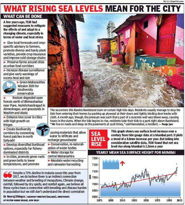 Warning: Climate change has come home | Mumbai News - Times of India