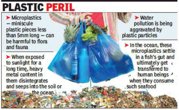 Now, panchayats to impose ban on plastic | Goa News - Times of India