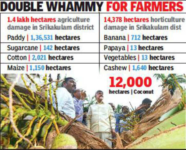 Titli aggravates kidney pain of Uddanam region farmers | Visakhapatnam ...