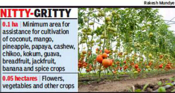 Development Of Horticulture: New scheme incentivises horticulture ...