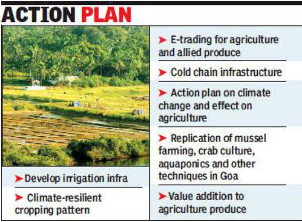 ‘Goa needs agriculture policy with focus on irrigation’ | Goa News ...