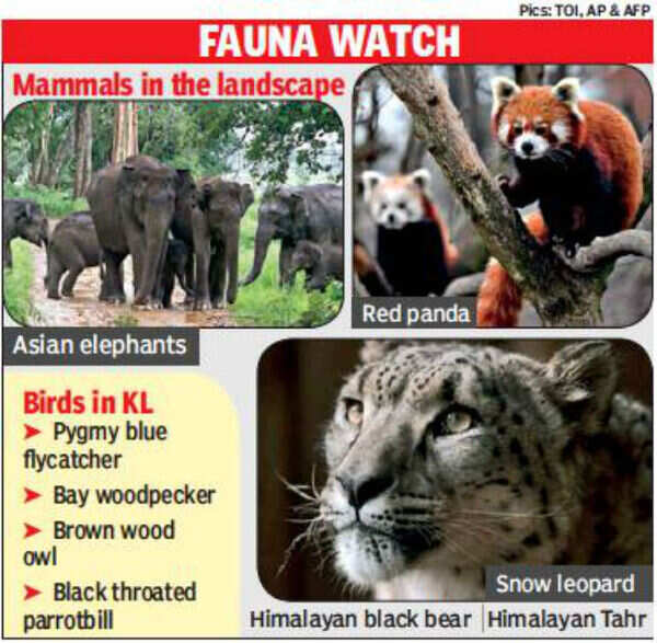 Borders blur in effort to check poaching and man-animal conflict ...