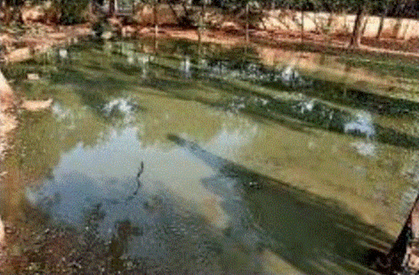 In full flow: Dirty water at Indira Park | Hyderabad News - Times of India