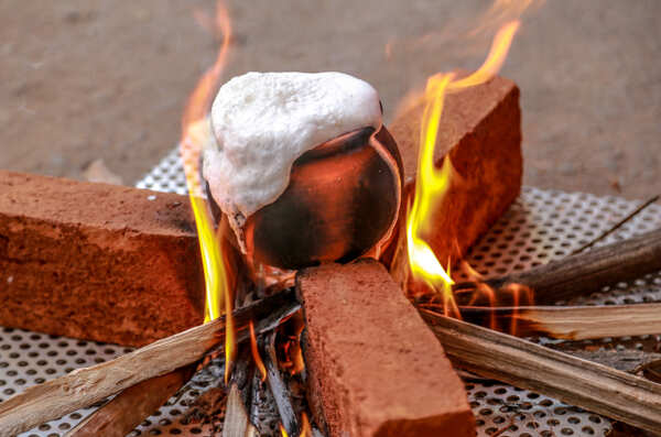 Why rice and milk are overflowed during Pongal celebrations? - Times of ...