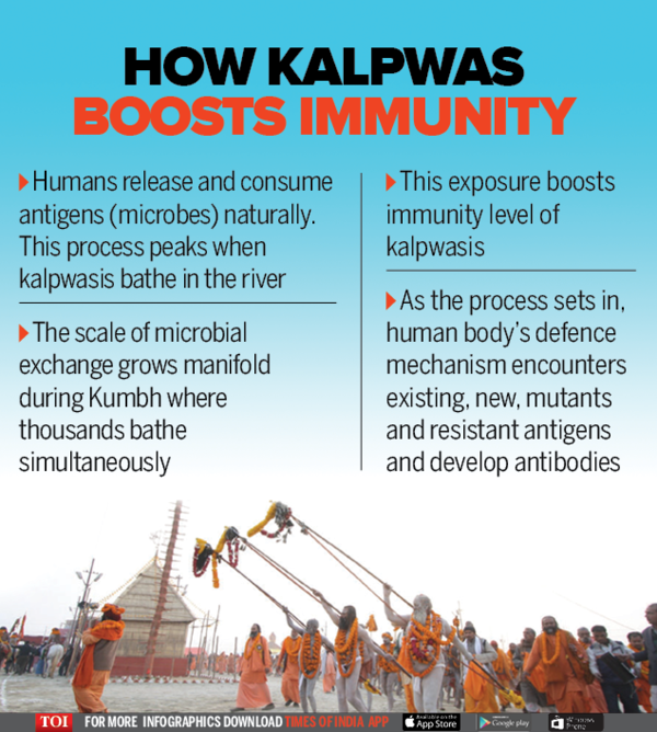Kumbh Mela 2019: Kumbh sojourn a booster for healthy human body ...