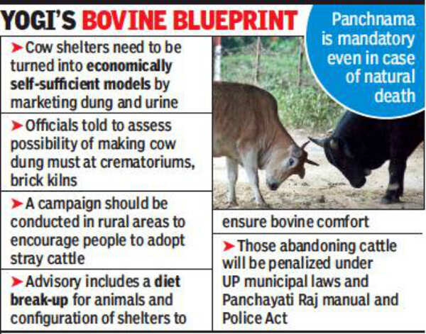 UP cops to ensure cow safety; autopsy if death is suspect | Lucknow ...