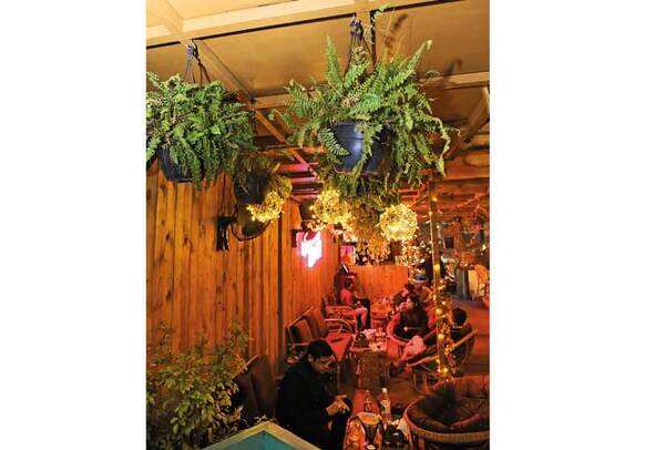 Green spaces in restaurants help diners in the capital breathe free ...