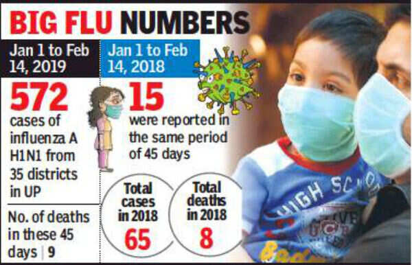 38-fold rise in H1N1 cases this year | Lucknow News - Times of India
