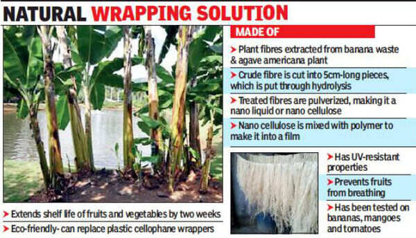 Nano film keeps fruits, veggies fresh for two weeks | Coimbatore News ...
