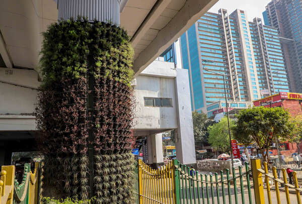 Who has been stealing pots from the vertical gardens of Noida? | Noida ...