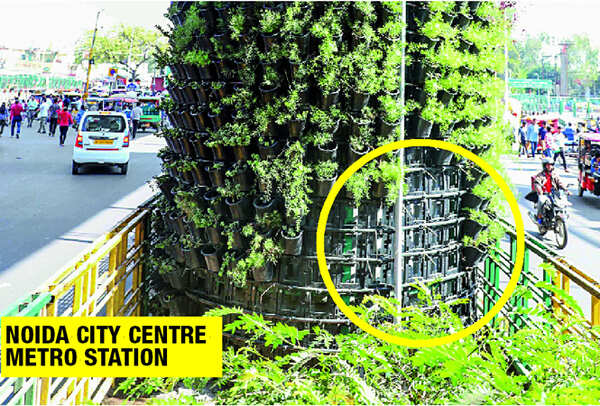 Who has been stealing pots from the vertical gardens of Noida? | Noida ...