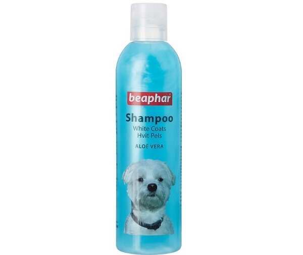 Dog shampoos that will be perfect for their shower time | Best Products ...