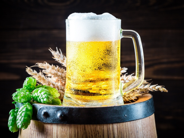 Is drinking beer really beneficial for your health - Times of India