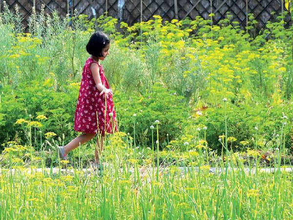 In Delhi-NCR, outings go beyond malls, to farms | Noida News - Times of ...